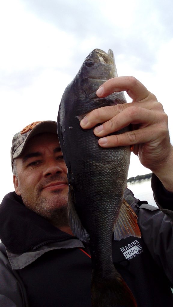 20lb plus (9kg) pike and 2lb perch and growing! - sweden fishing and ...